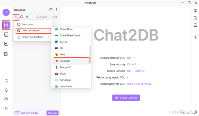 使用Chat2DB连接金仓数据库KingbaseES_chat2db如何使用-CSDN博客
