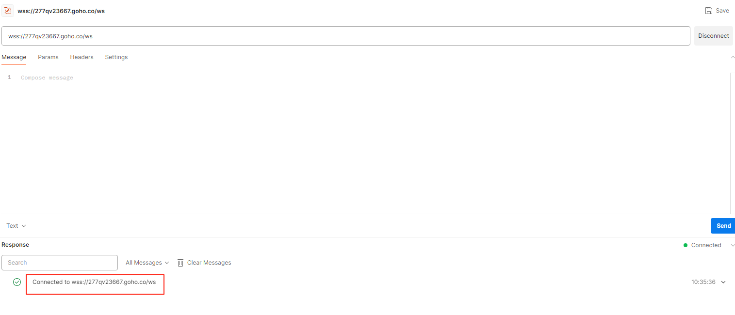 花生壳做内网穿透，配置wss案例演示_postman怎么连接wss-CSDN博客