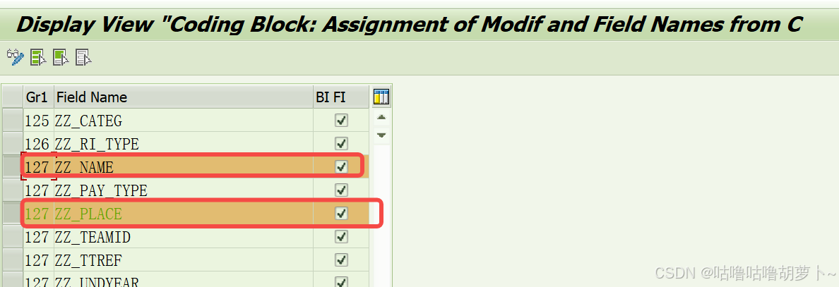 sap Fico Coding Block新增自定义字段_sap coding block-CSDN博客