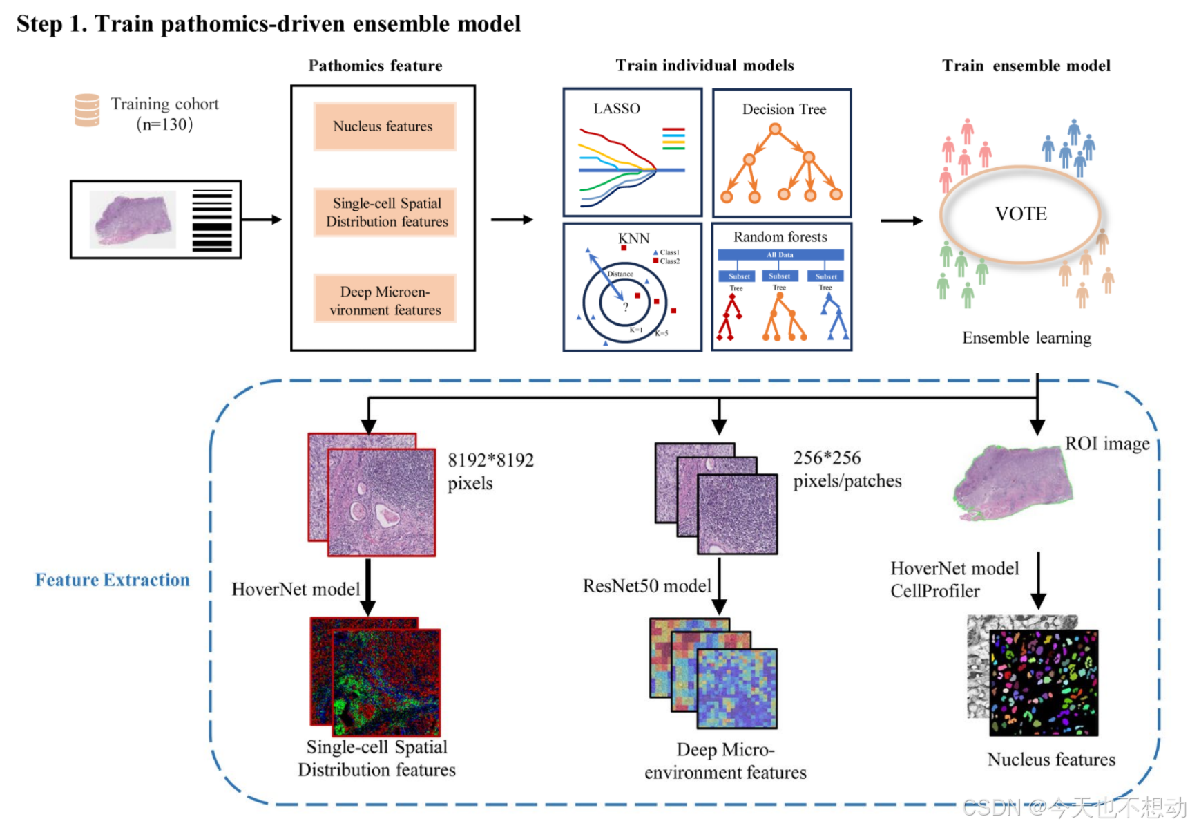 HoVer-Net_实操与文章应用思路_hovernet-CSDN博客