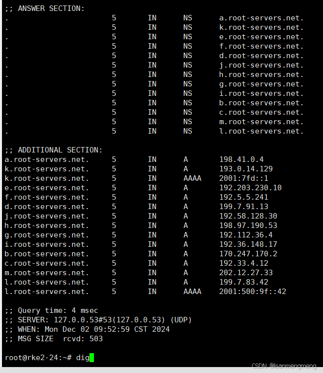 dig 命令查询（五）_mac dig-CSDN博客