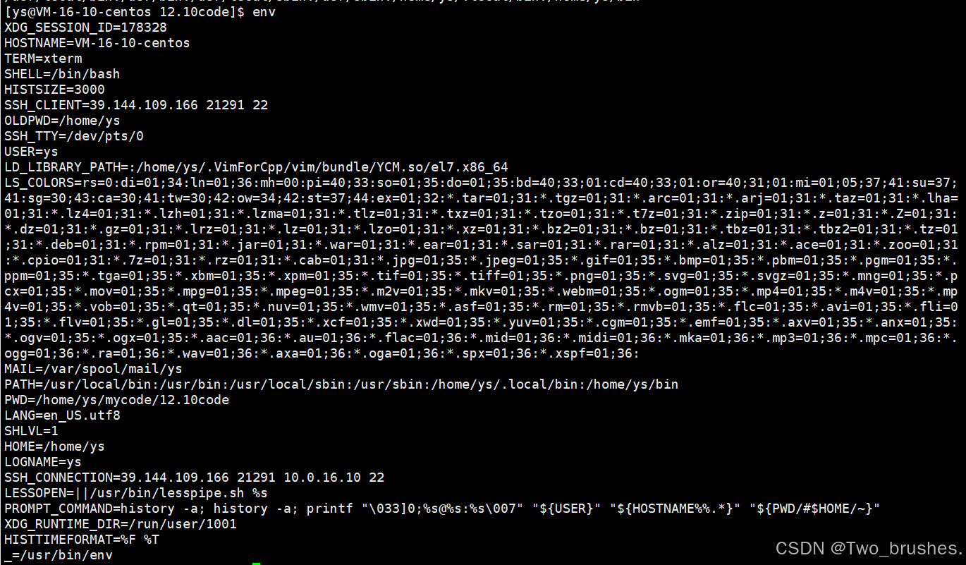【Linux】环境变量_linux环境变量ps-CSDN博客