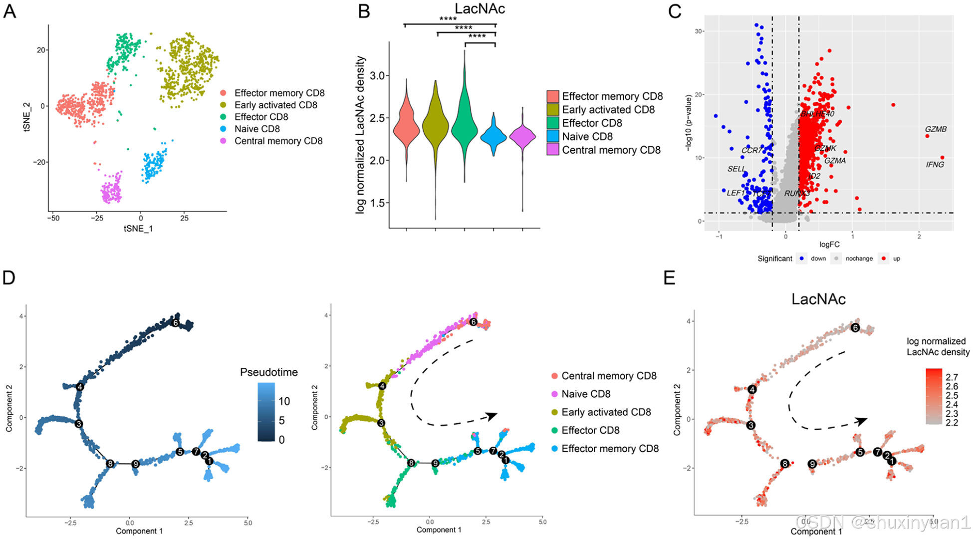 单细胞水平检测N-乙酰乳糖胺(LacNAc)的新型化学酶法与生信-CSDN博客