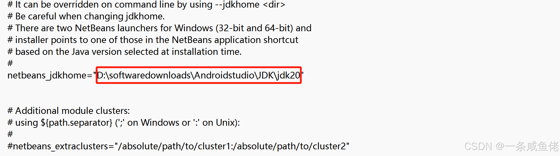 NetBeans22安装后无法打开？_netbeans无法启动-CSDN博客