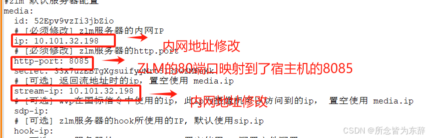 docker部署Zlm服务_zlm docker-CSDN博客