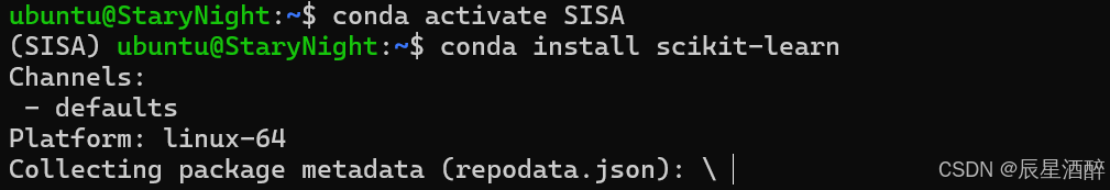 机器遗忘经典方法样例实践——SISA_machine unlearning 实战代码-CSDN博客