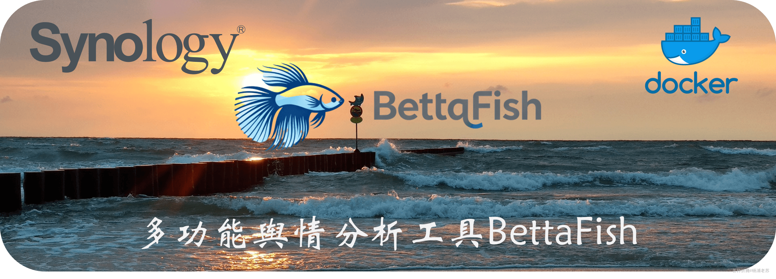 多功能舆情分析工具BettaFish-CSDN博客