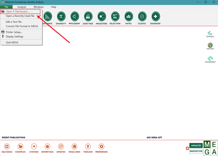 【科研必备】系统发育分析——MEGA保姆级使用教程_mega序列碱基组成分析-CSDN博客