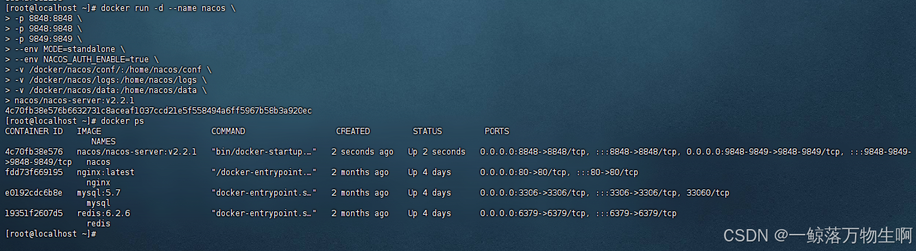Docker容器中Nacos安装、配置_docker pull nacos-CSDN博客