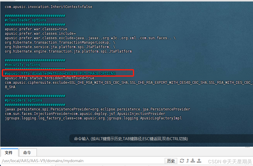 Linux 搭建金蝶中间件AAS-V9 保姆级_金蝶apusic中间件部署-CSDN博客