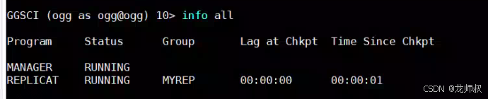 oracle19c通过ogg同步数据到oracle12c配置说明【测试记录版】_oracle的ogg同步-CSDN博客