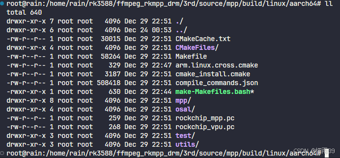 全网最细万字教学！RK3588使用ffmpeg+rkmpp硬解码+DRM渲染显示MP4视频【纯代码】_rk3588 ffmpeg-CSDN博客