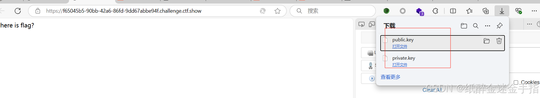 ctfshow-jwt-345-350_ctfshow web345-CSDN博客