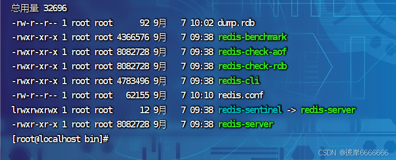 安装Redis_redis安装包-CSDN博客