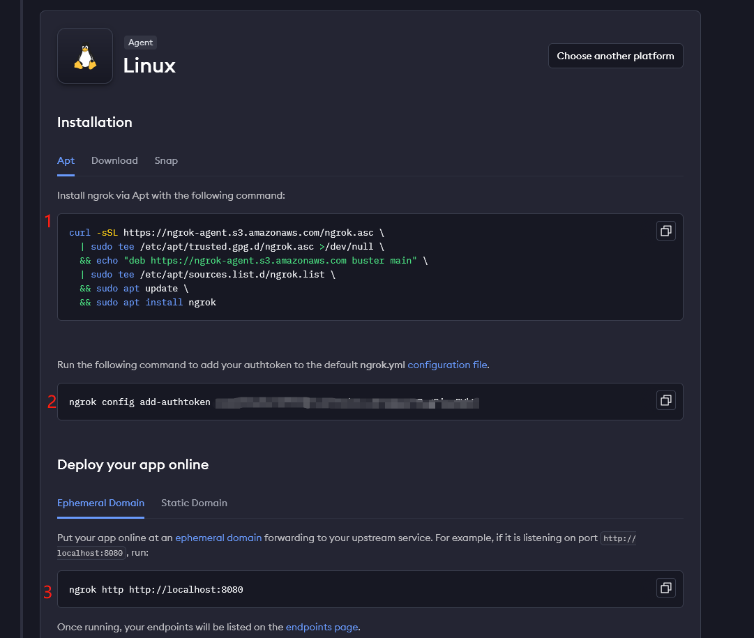 使用nginx和ngrok工具部署个人网站-CSDN博客