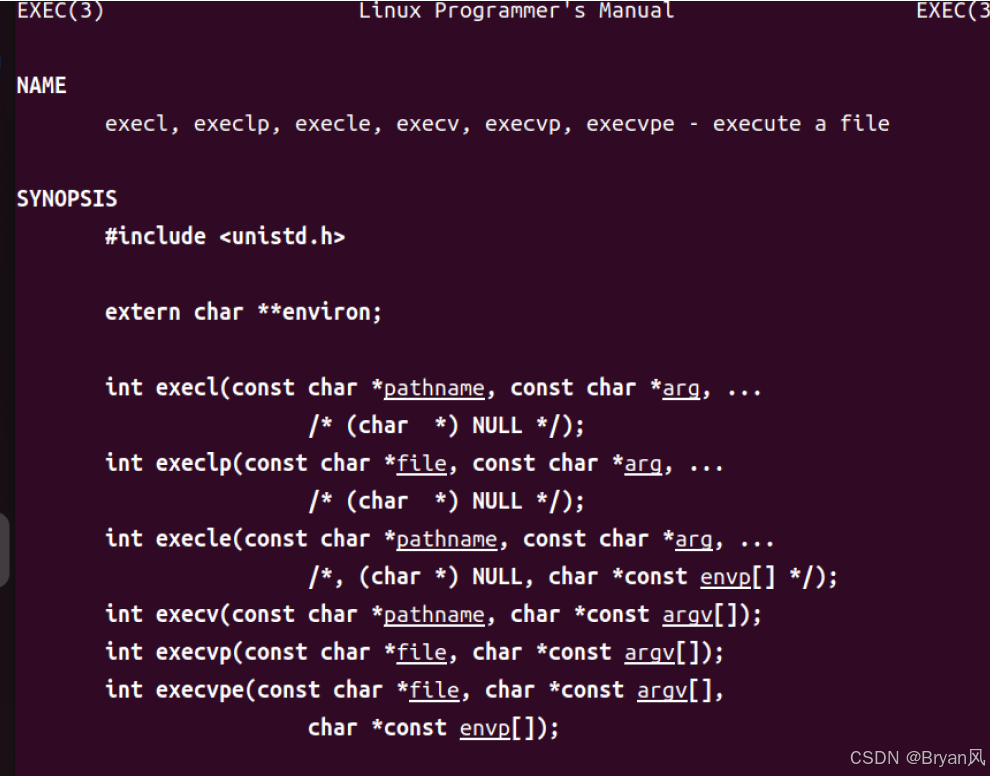 exec函数族_exec族函数作用-CSDN博客