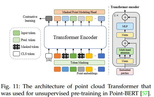 【论文笔记】Unsupervised Point Cloud Representation Learning with Deep Neural Networks: A Survey-CSDN博客