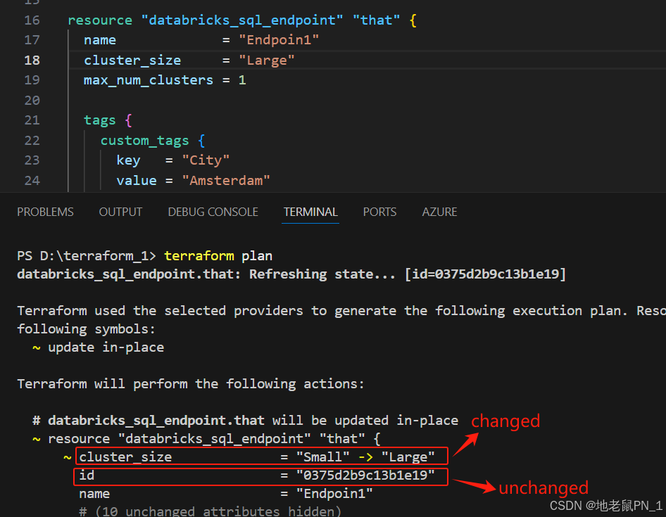 Databricks: Using Terraform to Manage SQL Warehouse-CSDN博客