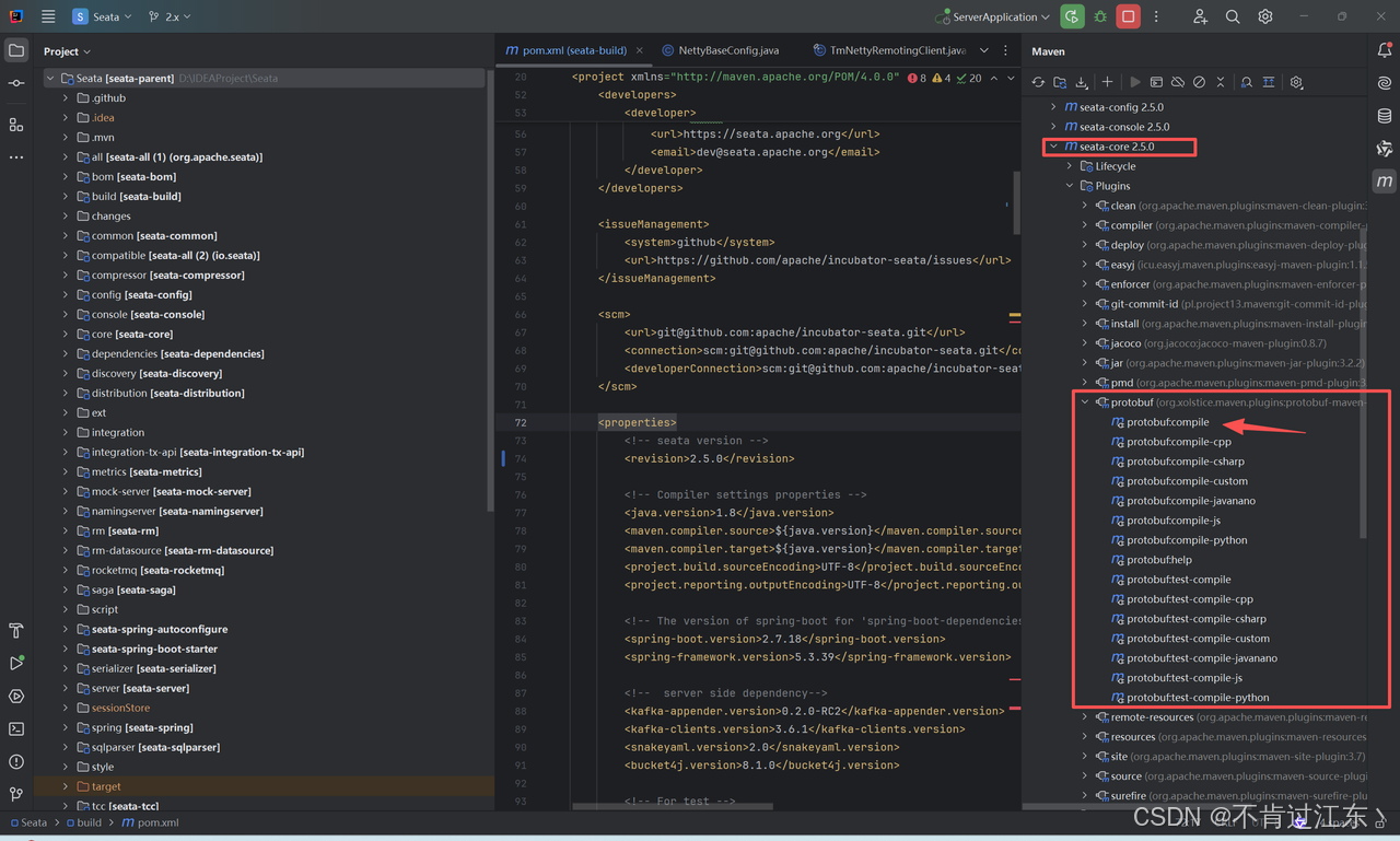 大聪明教你学Java | Seata 2.5 从下载到运行：全流程编译部署教程-CSDN博客