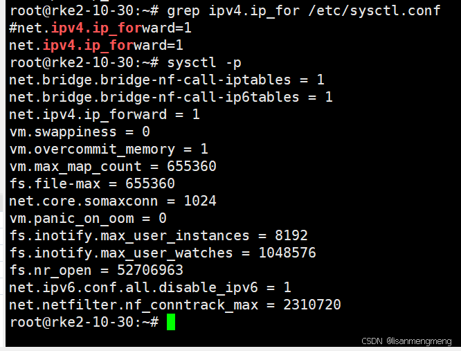 sysctl 命令介绍和使用案例_sysctl -w-CSDN博客