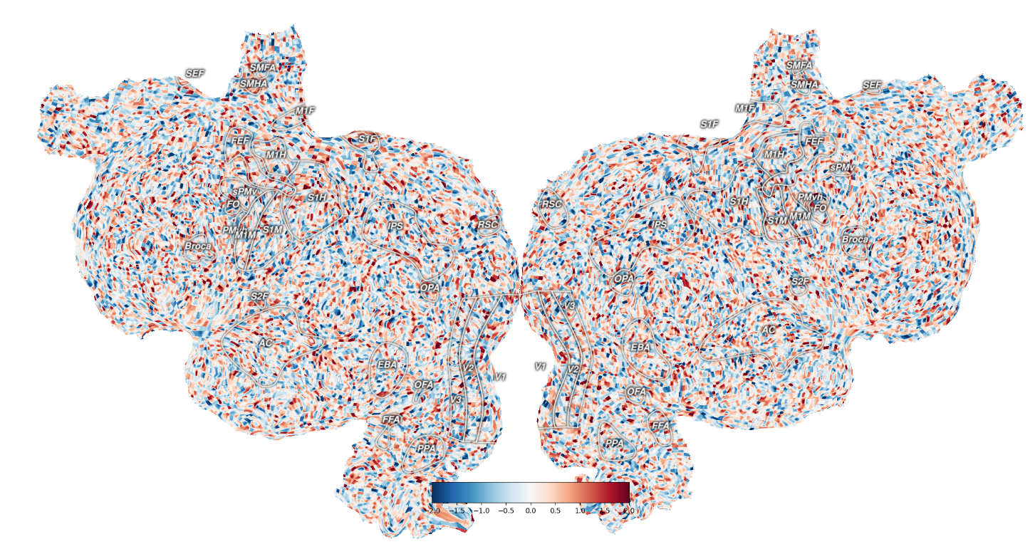 如何对NSD数据集使用Pycortex进行可视化？-CSDN博客