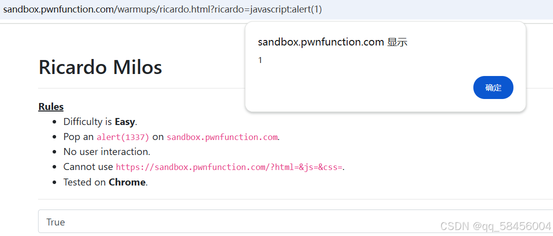 xss.pwnfunction-CSDN博客