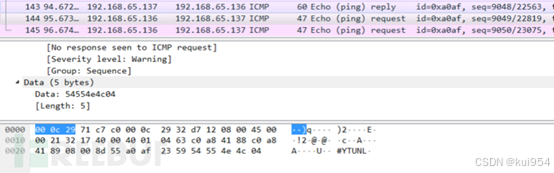 ICMP 隧道技术解析&流量特征_icmp隧道-CSDN博客
