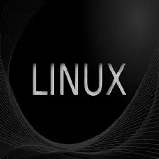 Linux指令(man,cp,mv,cat,more,less,head,tail)-CSDN博客