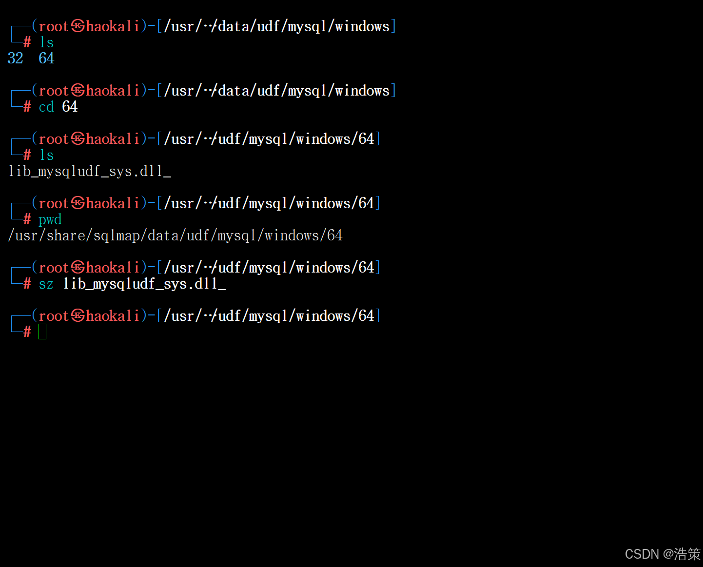 提权:[MySQL UDF提权全攻略：Windows与Linux实战步骤详解 可以了解一下的提权手法] -CSDN博客