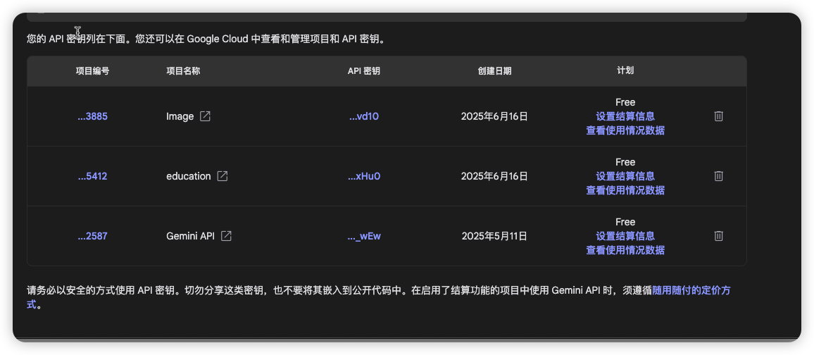 Gemini Cli使用教程-CSDN博客