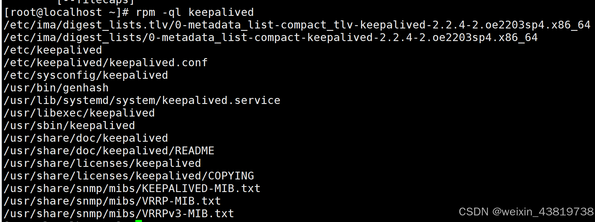 Linux之Keepalived使用_linux keepalived配置-CSDN博客