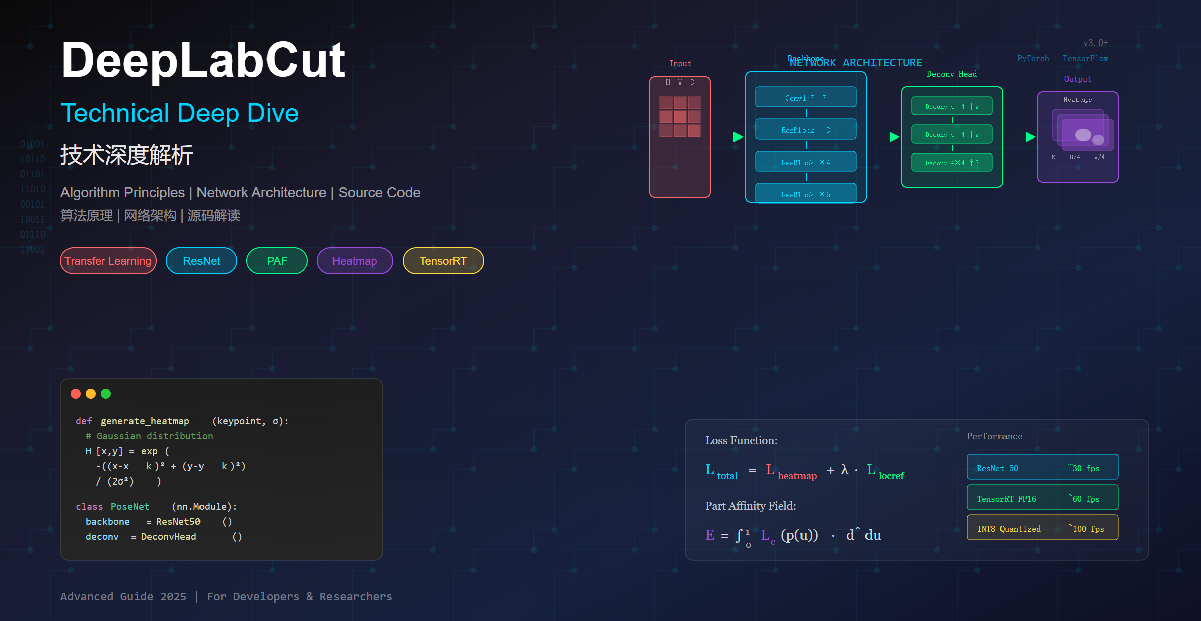 DeepLabCut 技术深度解析：从算法原理到源码实现-CSDN博客