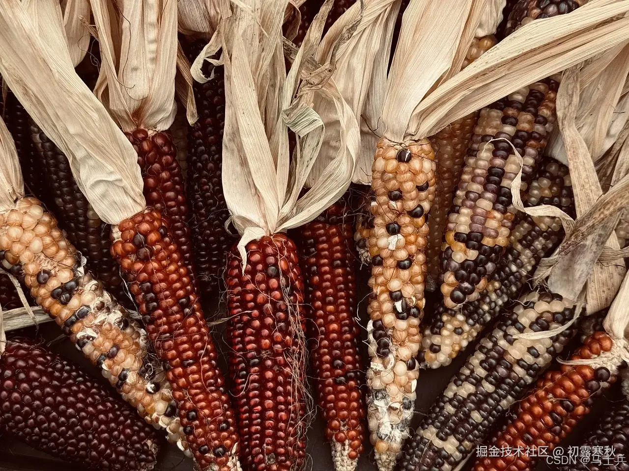 从头通过dockerfile制作镜像与运行centos8-ssh_dockerfile centos8-CSDN博客