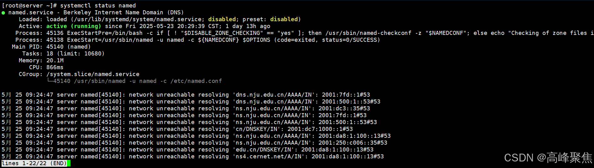 【Linux 运维实战】手把手教你搭建 BIND DNS 域名解析服务器（含正向 / 反向解析实验）_rocky linux 8 安装bind服务详细步骤-CSDN博客