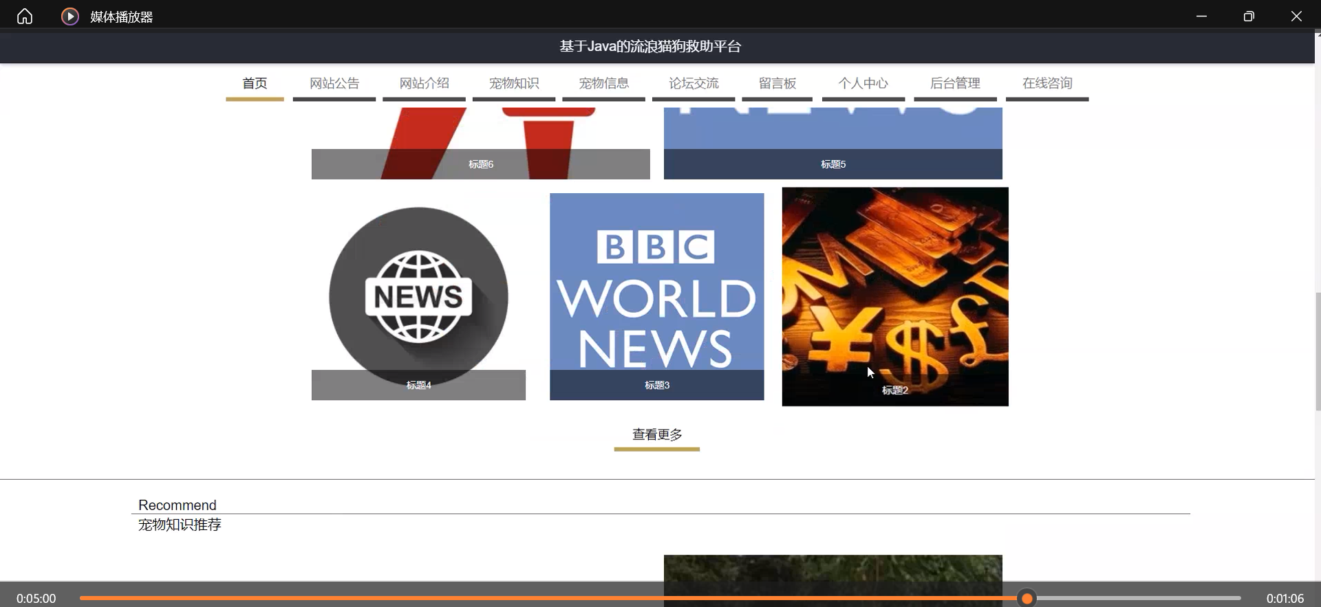2026毕设ssm+vue基于的流浪猫狗救助平台论文+程序-CSDN博客