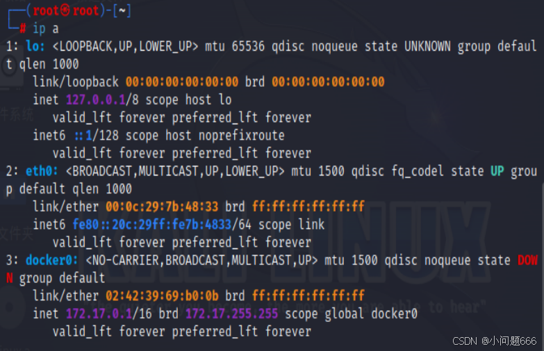 kali eth0网卡无ip解决办法_kali eth0没有ip地址-CSDN博客