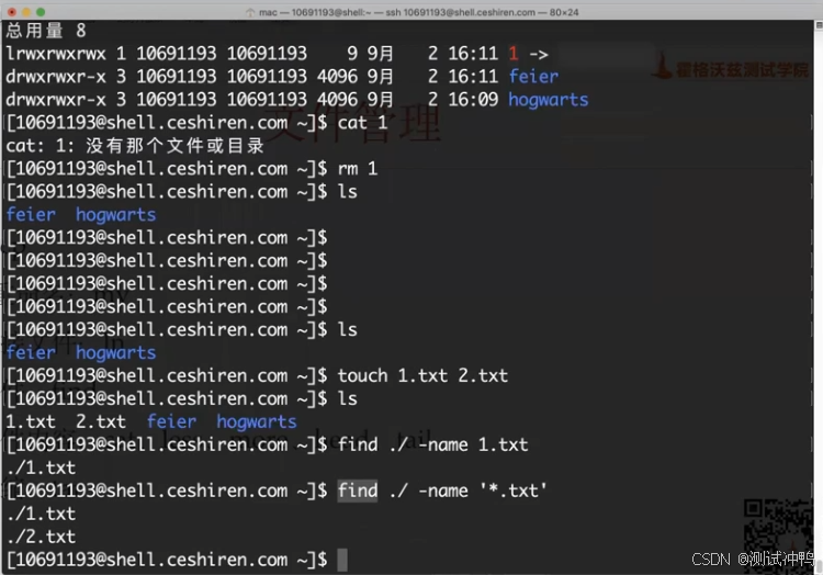 【可实战】Linux 常用命令之文件处理：ssh、ls、cd、pwd、mkdir、touch、rm、cp、mv、ln、find、cat、tail、tar、echo、＞、chmod ...