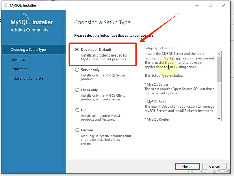 win11系统安装mysql时，不显示developer default选项，如何自定义安装_mysql安装没有developer default-CSDN博客