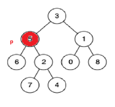 LeetCode Hot 100-CSDN博客