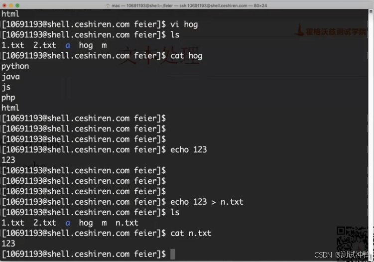 【可实战】Linux 常用命令之文件处理：ssh、ls、cd、pwd、mkdir、touch、rm、cp、mv、ln、find、cat、tail、tar、echo、＞、chmod ...