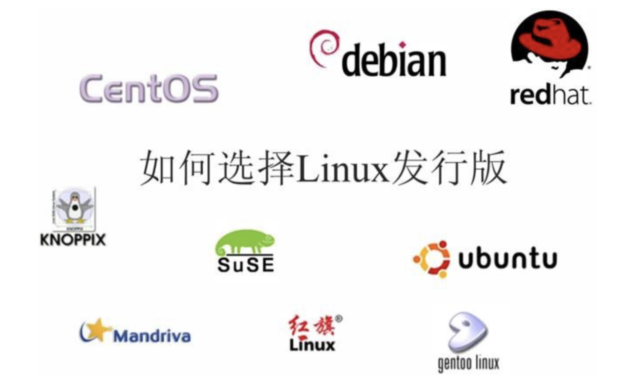 Linux 操作系统介绍_用os命名系统是苹果公司发明-CSDN博客