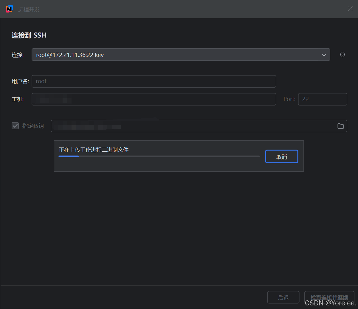 IDEA连接服务器步骤（解决Details: An error occurred while executing command: ‘host-status.-ide-path=XXX ...