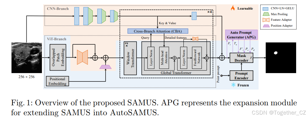 Beyond Adapting SAM:Towards End-to-EndUltrasound Image Segmentation via ...