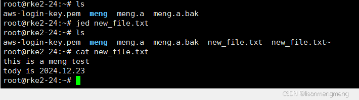 jed 命令介绍和使用案例_jed文件-CSDN博客