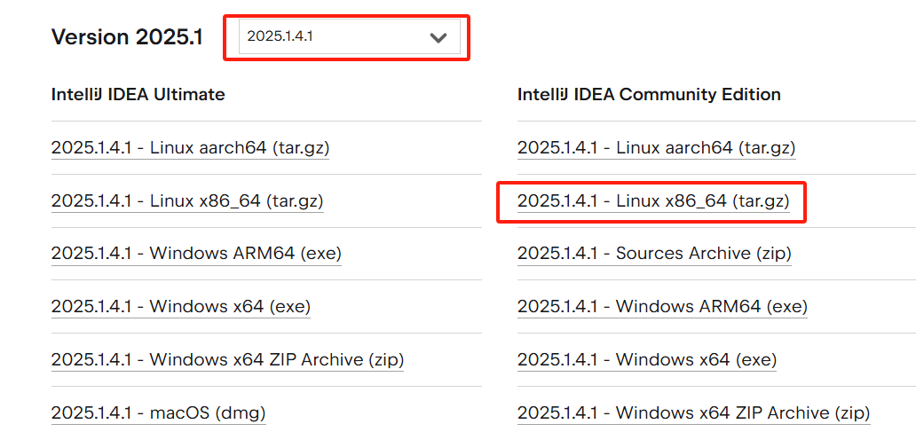 idea Remote Development离线配置远程开发-CSDN博客
