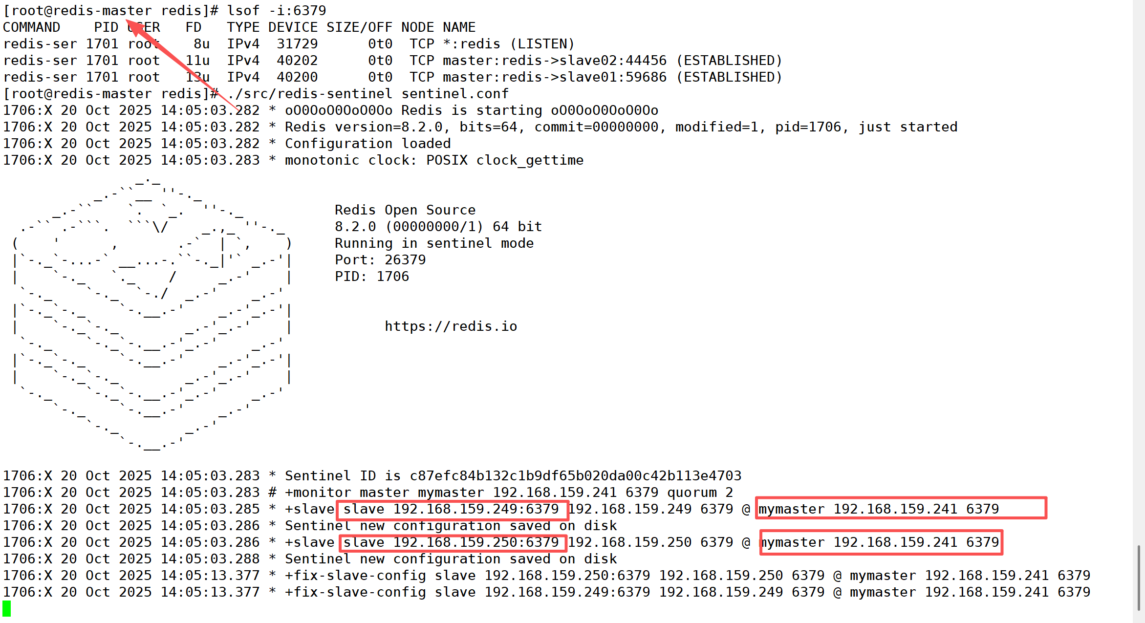 Redis缓存集群-CSDN博客