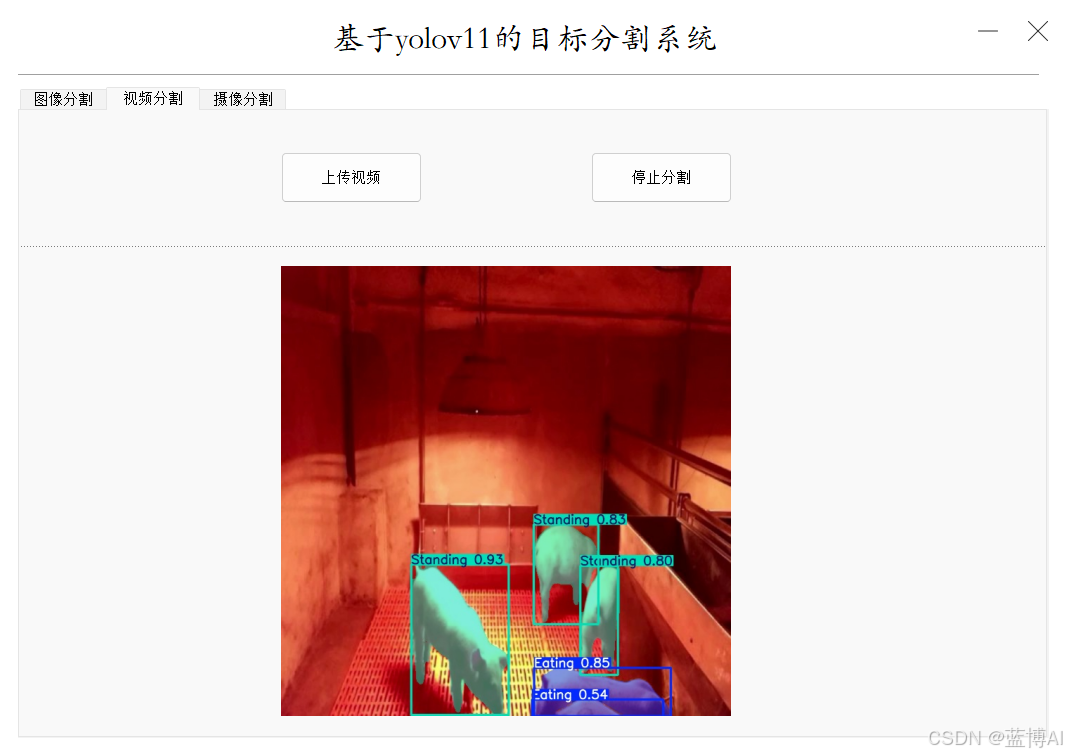 基于yolov11的生猪行为分割和检测系统，支持图像、视频和摄像实时检测【pytorch框架、python源码】yolo V11 生猪检测 Csdn博客