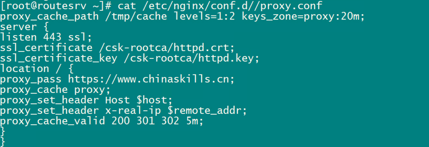 Web Proxy-CSDN博客