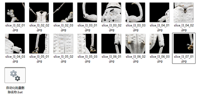 批量删除修改文件名脚本-CSDN博客