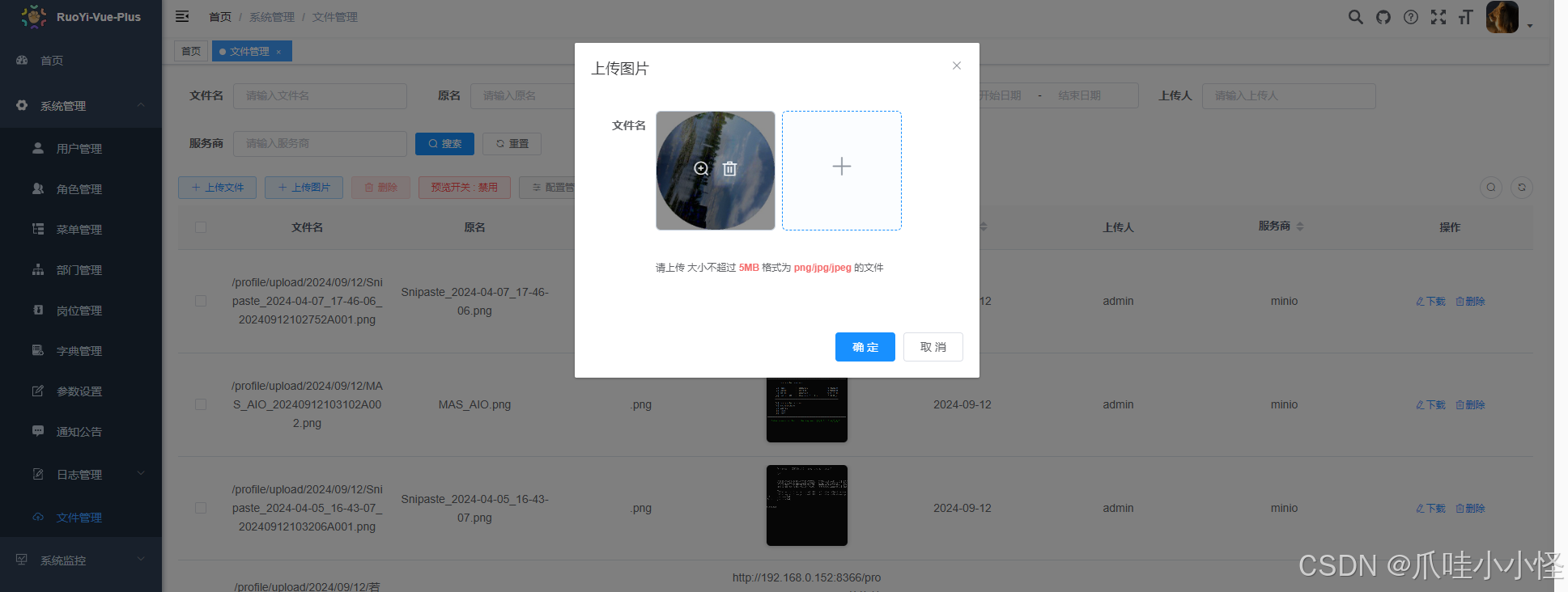 RuoYi-Vue-Plus OSS对象存储改为本地存储-CSDN博客